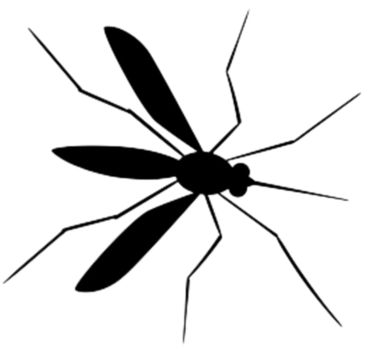 Sprint 5 Module 2 Project